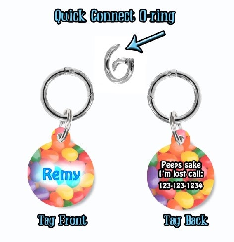 Jelly Bean Dog Tag – Katie Dreaming in Color